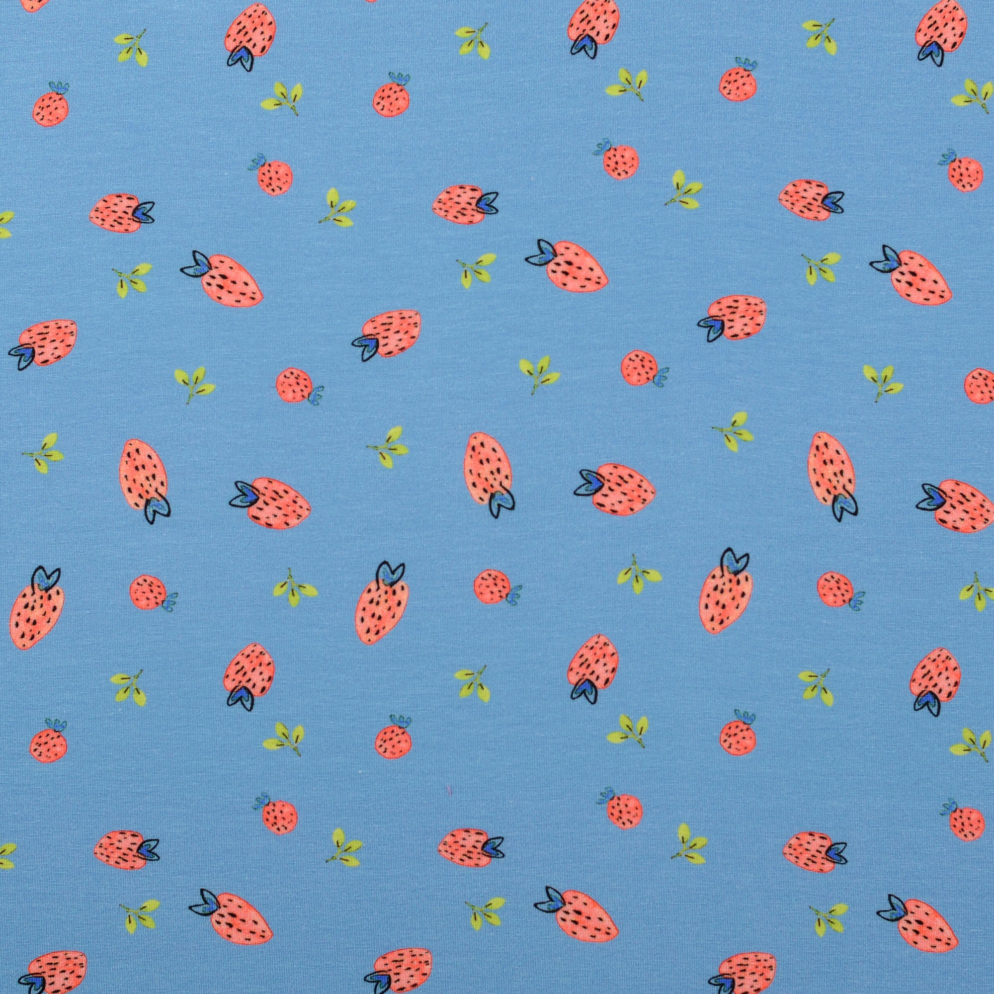 cotton-jersey fabric fruits light blue | Wholesale fabrics | Hemmers Itex
