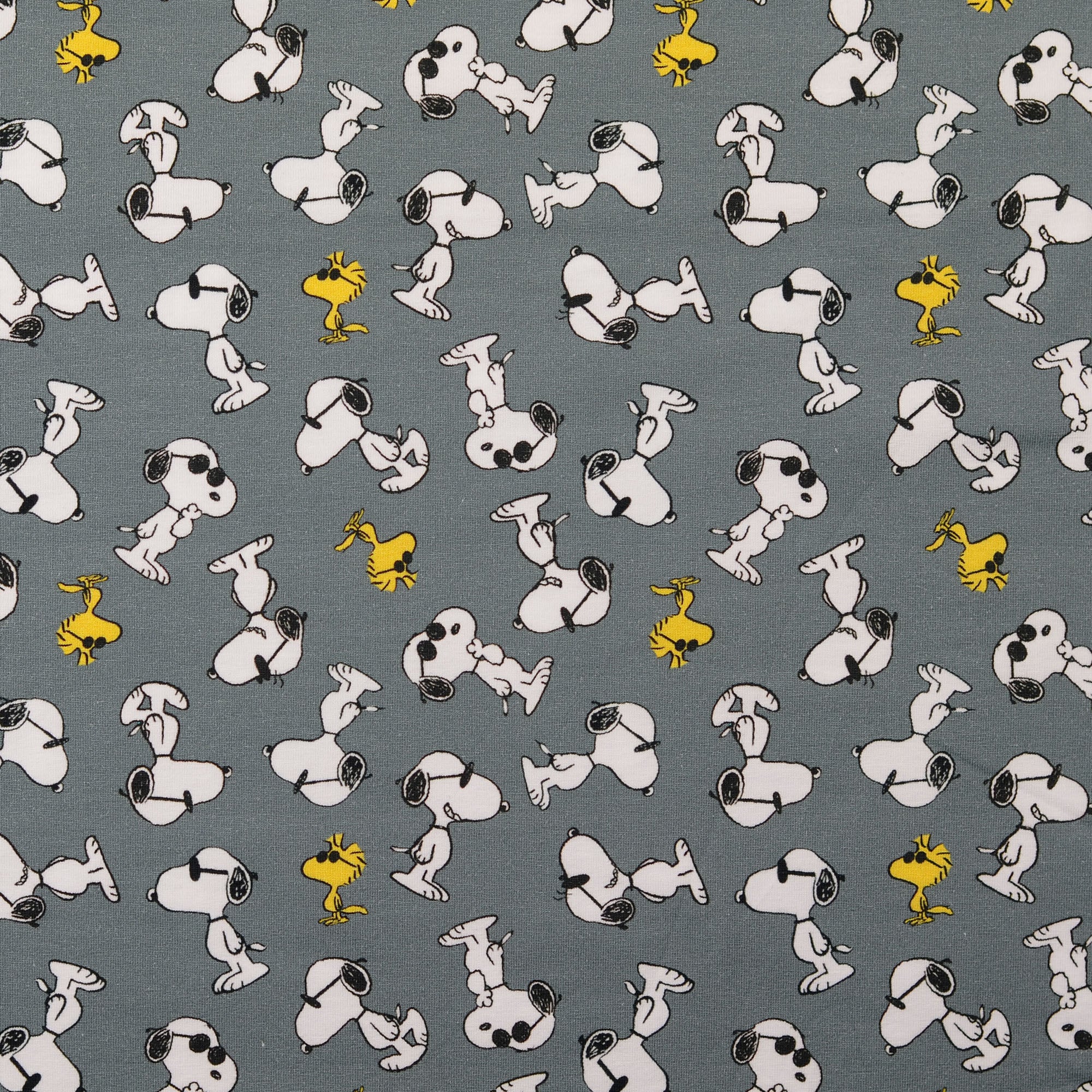 Cotton Jersey fabric Food grey | Wholesale fabrics | Hemmers Itex